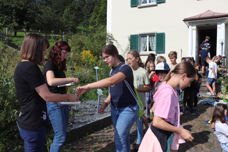 Scharen | Jungwacht Blauring SG/AI/AR/GL